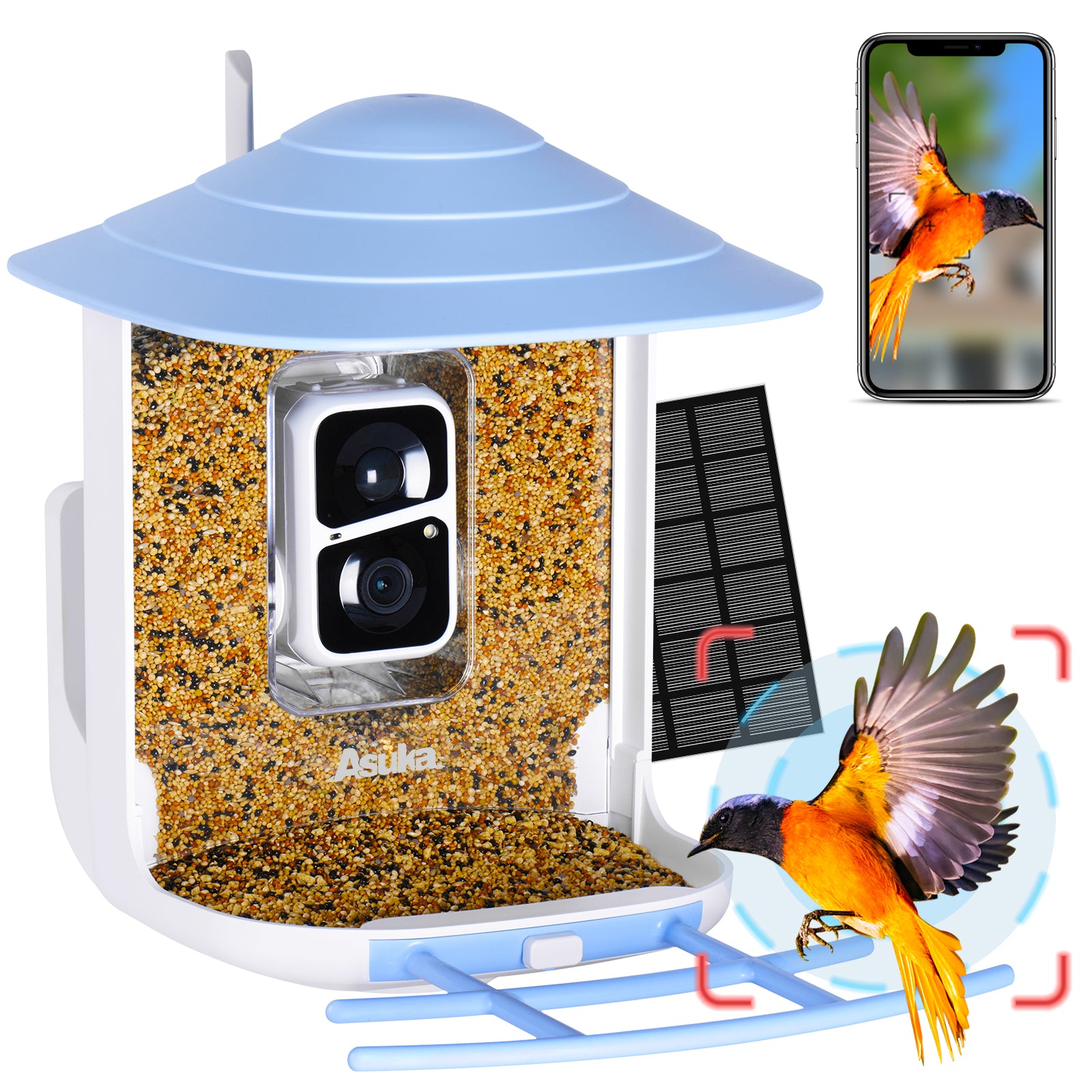 Smart Bird Feeder – Keenray | Keen innovations ray your life
