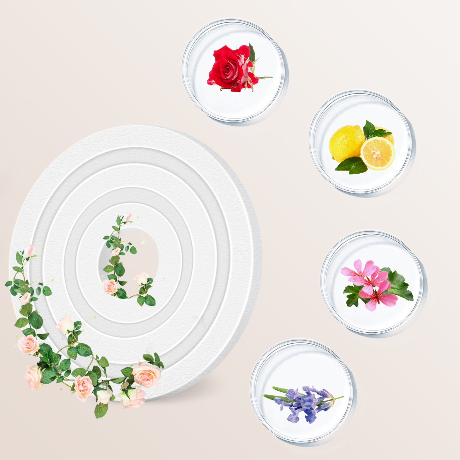 Keenray Replacement Fragrance Disc – Keenray | Keen innovations ray ...